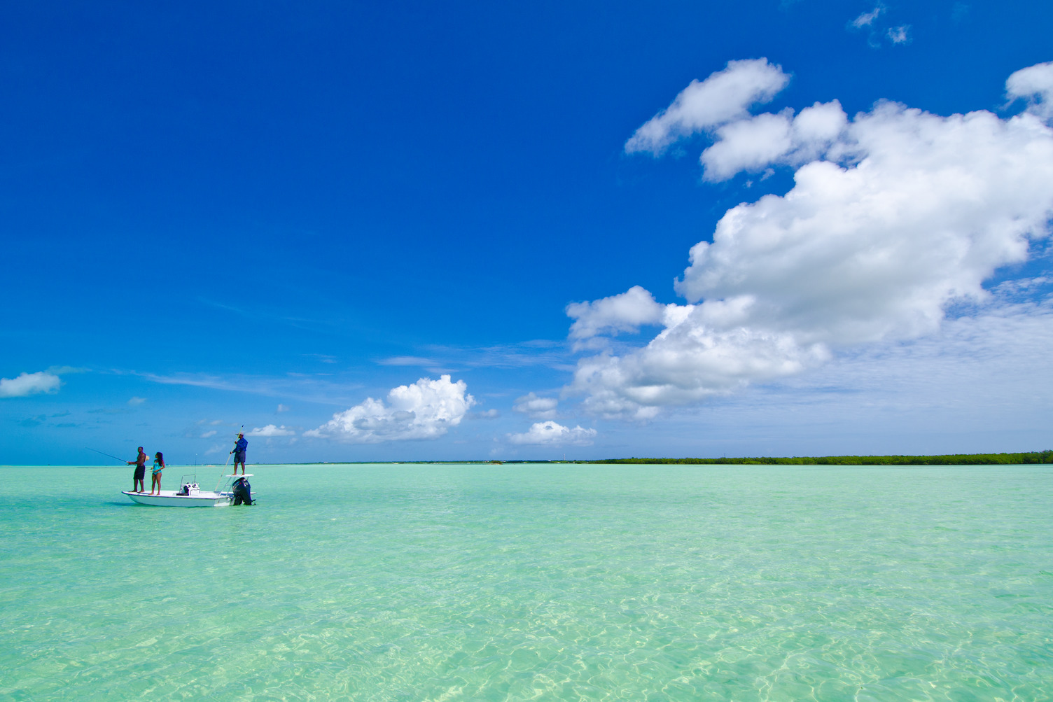 ISOLE VERGINI BRITANNICHE, Caraibi: il paradiso perfetto per le ...