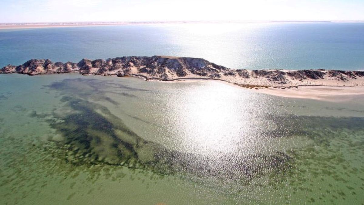 Dakhla, Marocco: dove il deserto del Sahara incontra l’oceano!